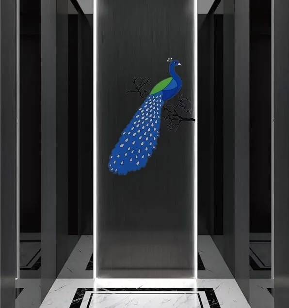 MRL Passenger Elevator: FUJISCHElevator